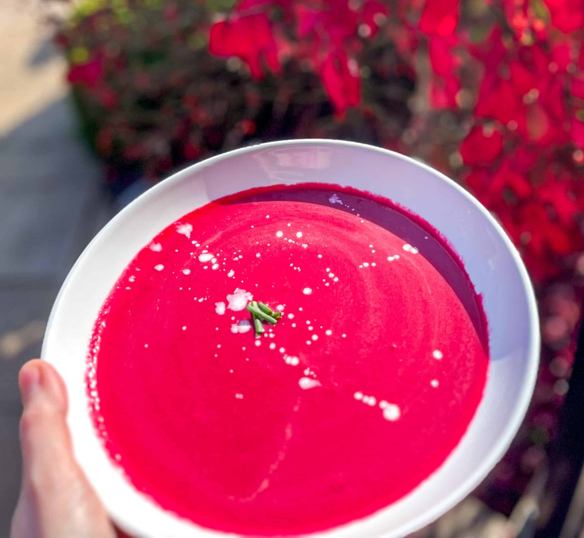 Instant Pot Roasted Beet Soup - Tasty Recollections