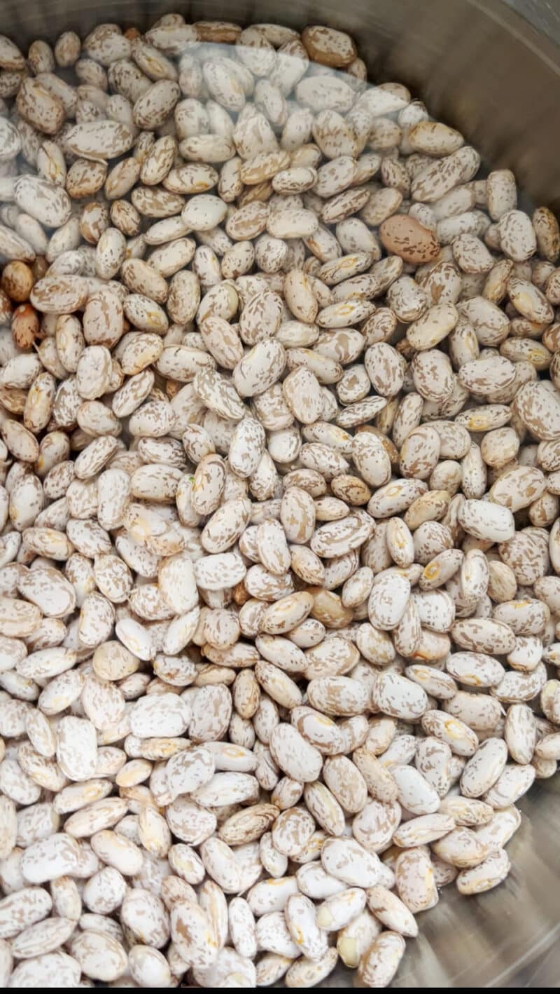Viral Brazilian Beans Recipe - Tasty Recollections