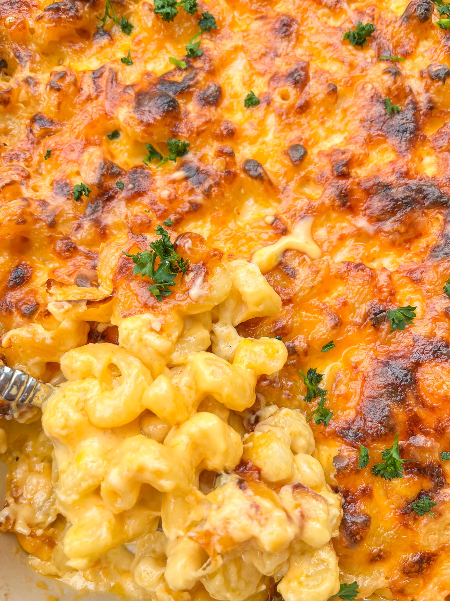 Easy Peasy Mac and Cheesy - Tasty Recollections