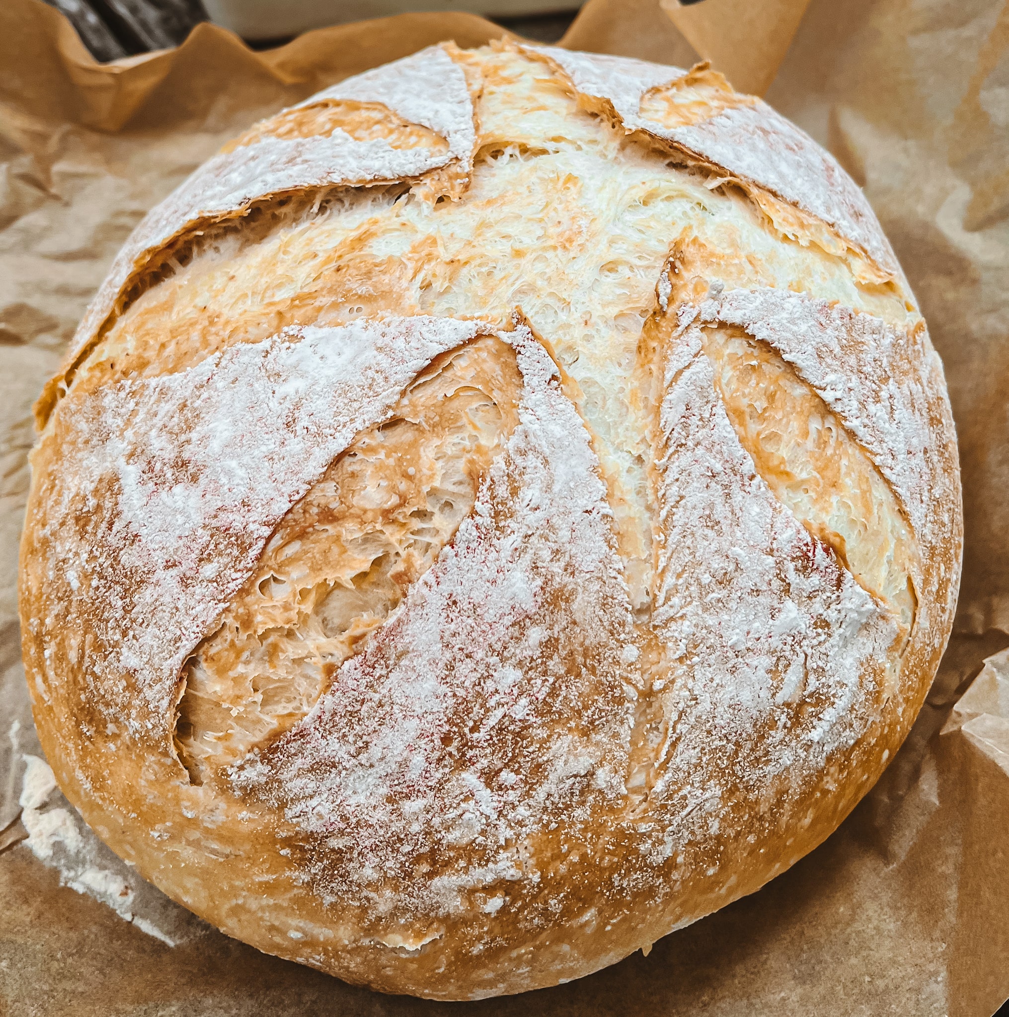 10-Fold No-Knead Bread: - Tasty Recollections
