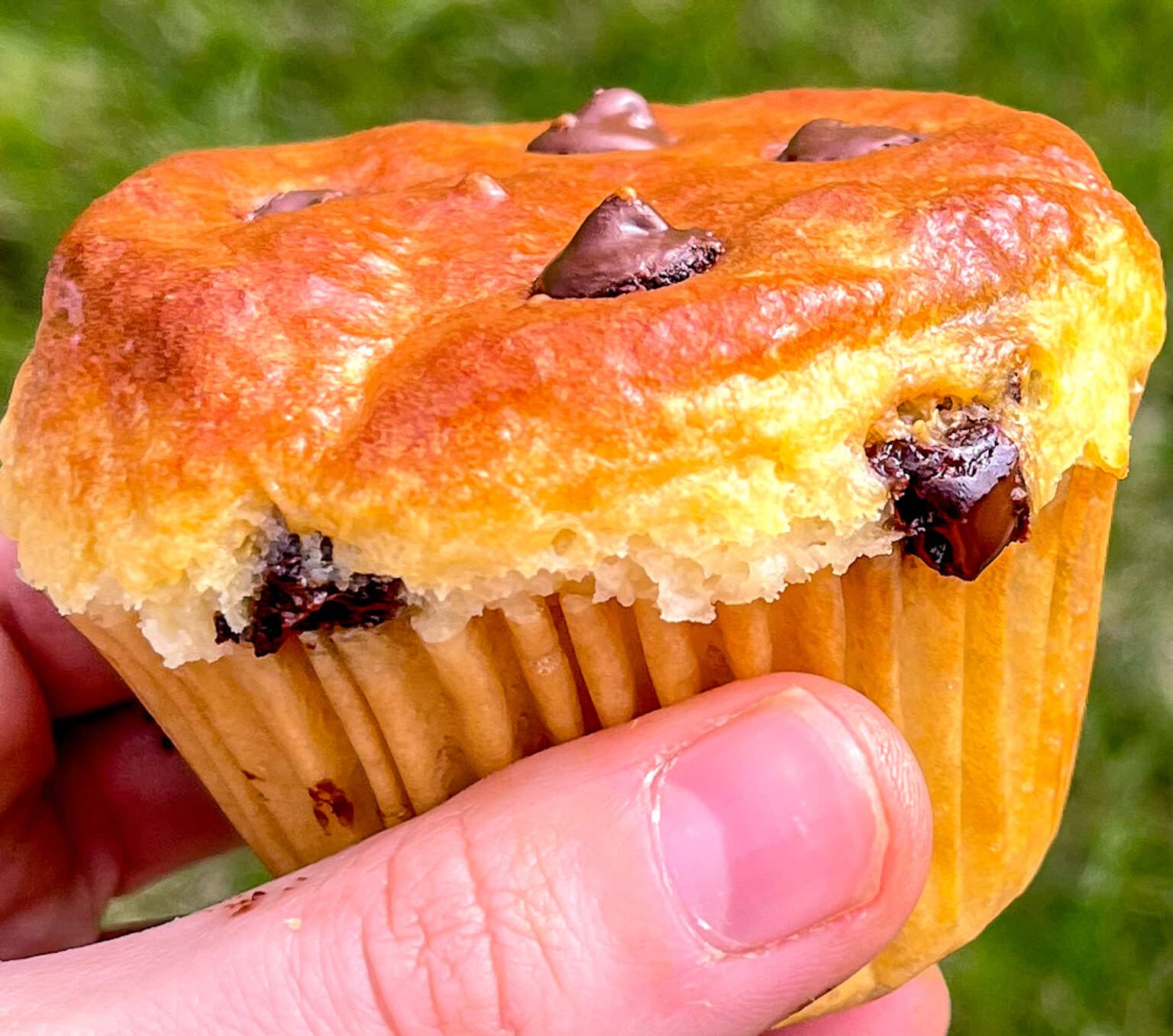 High-Protein Chocolate Berry Muffins - Tasty Recollections