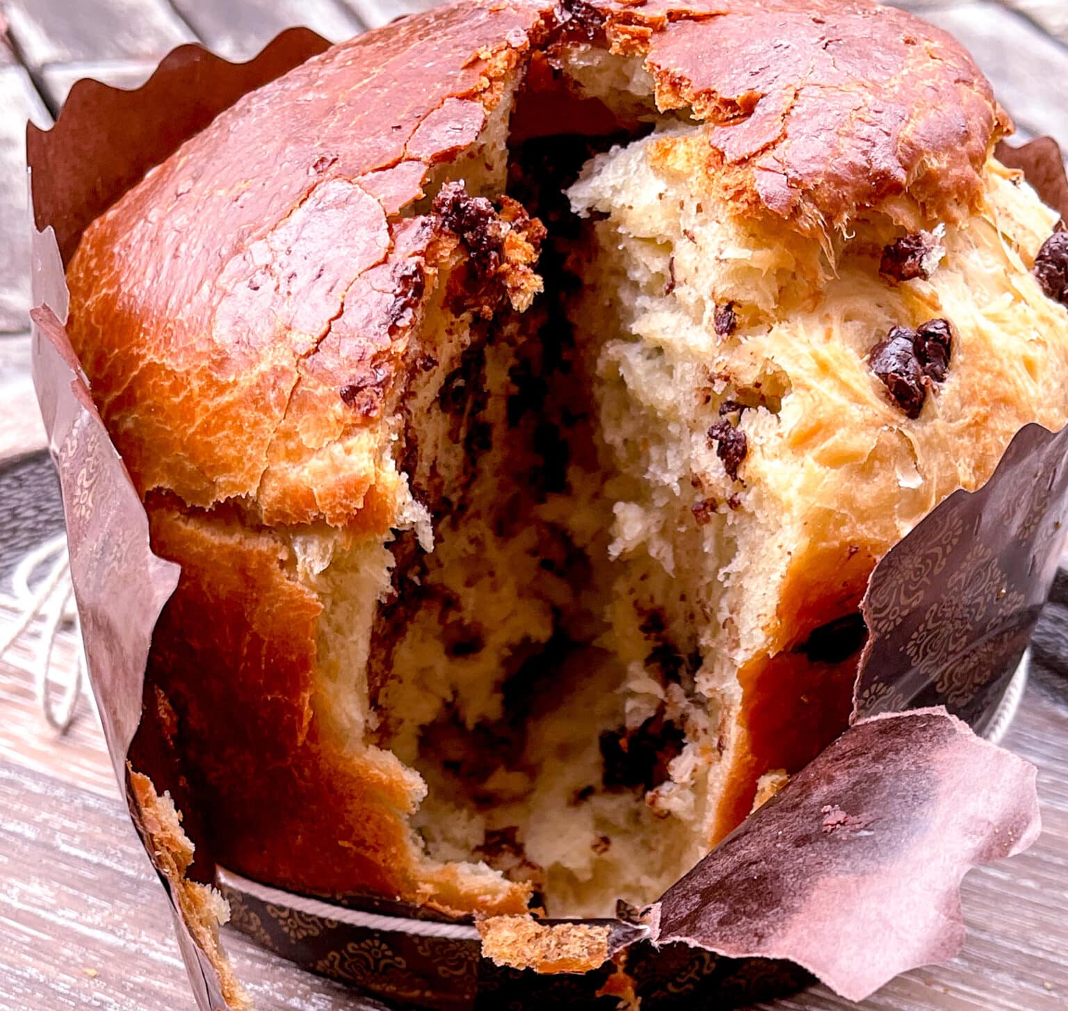 No Knead Chocolate Chip Panettone - Tasty Recollections