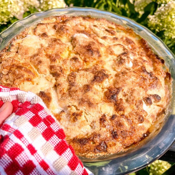 Lazy Apple Crumble - Tasty Recollections